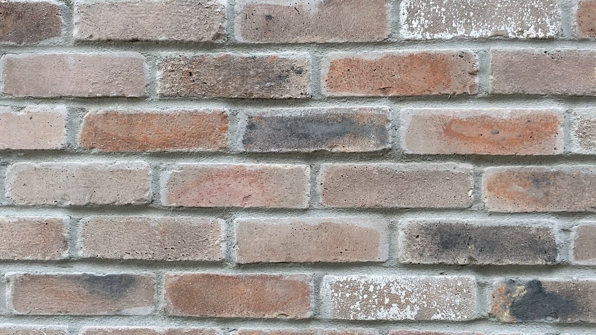 The Thin Brick Company